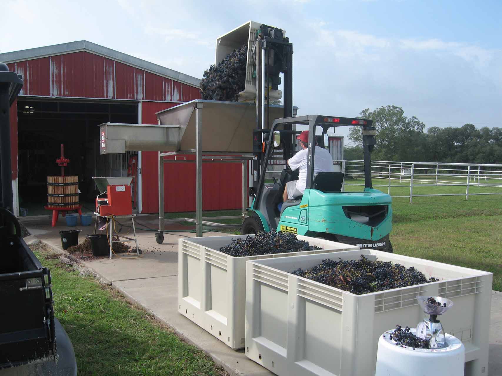 Saddlehorn Winery - Winery